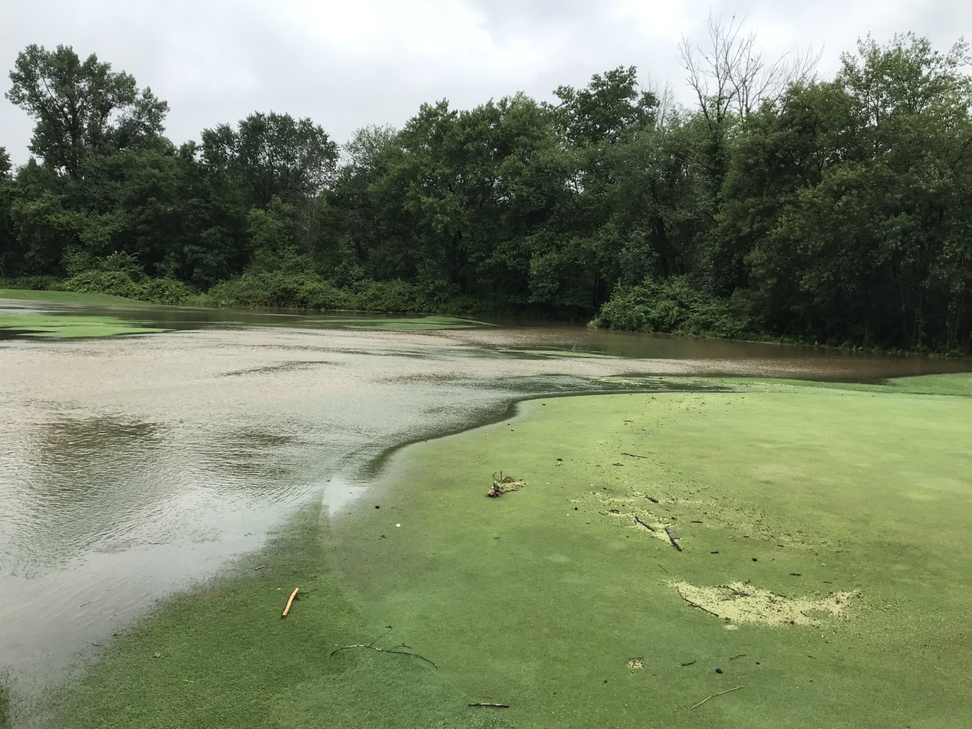 Photos from Rain July 16, 2023 - Ridgefield Golf Course