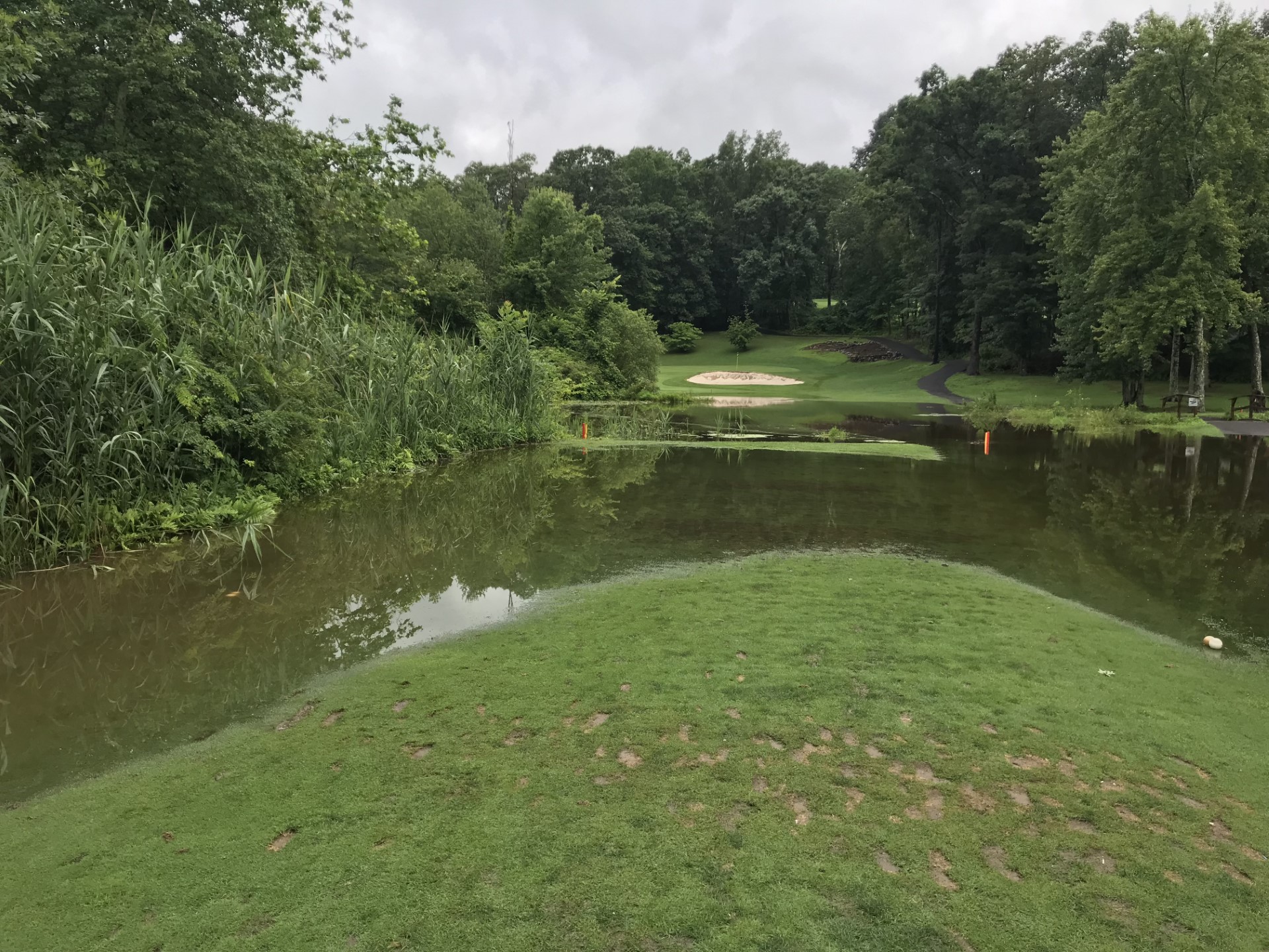Photos from Rain July 16, 2023 - Ridgefield Golf Course
